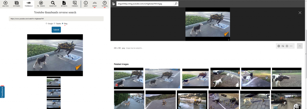 Image reverse search Archives - InVID project